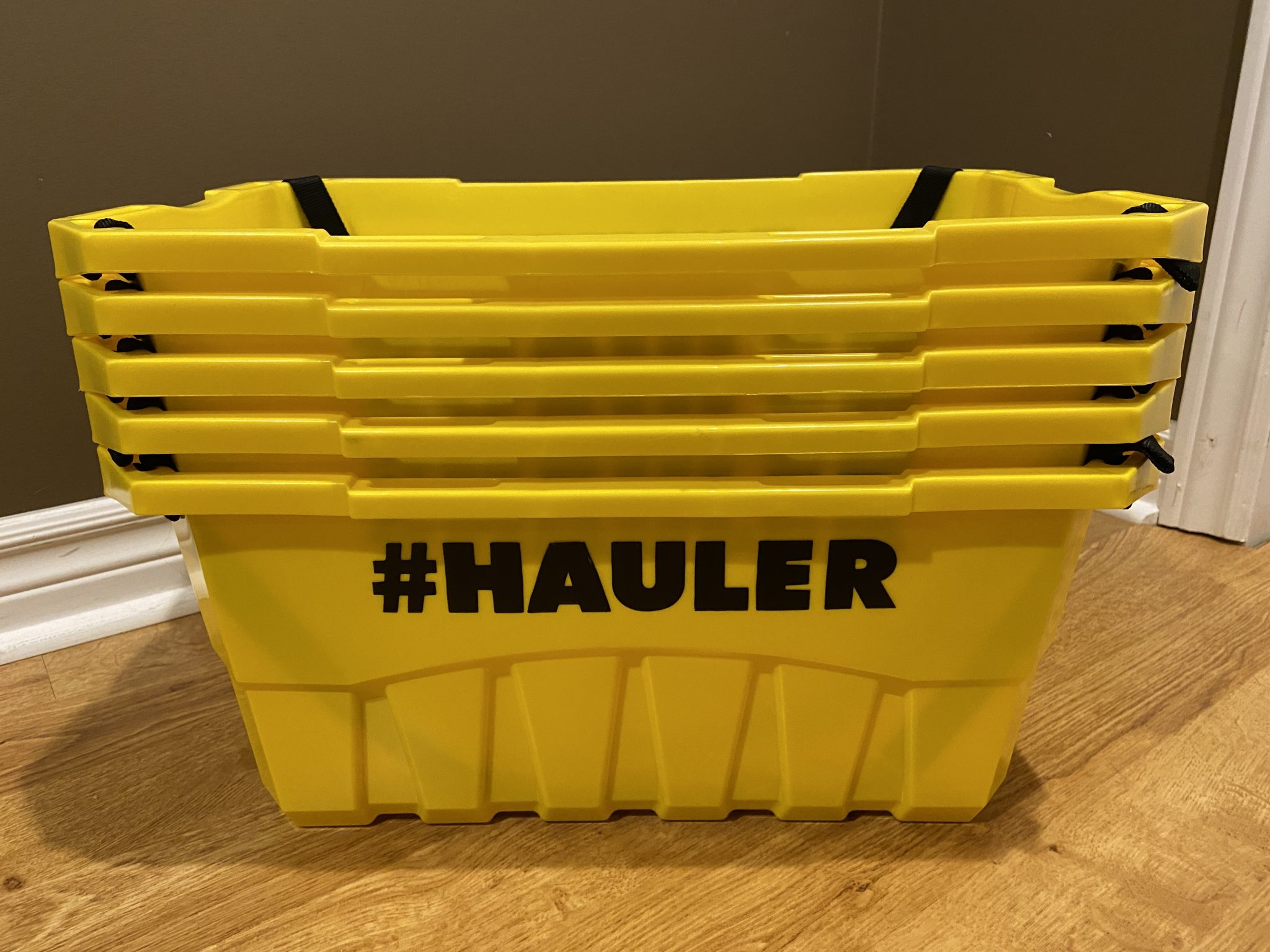 Bins! Bins! Bins! – JacobNelson.ca